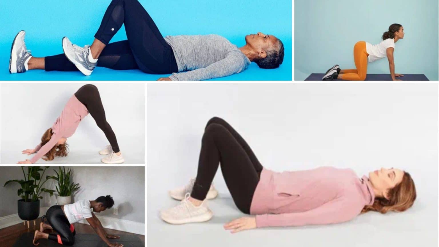 13 Spine Decompression Exercises for Back Pain Relief - Lotus Yoga Dallas