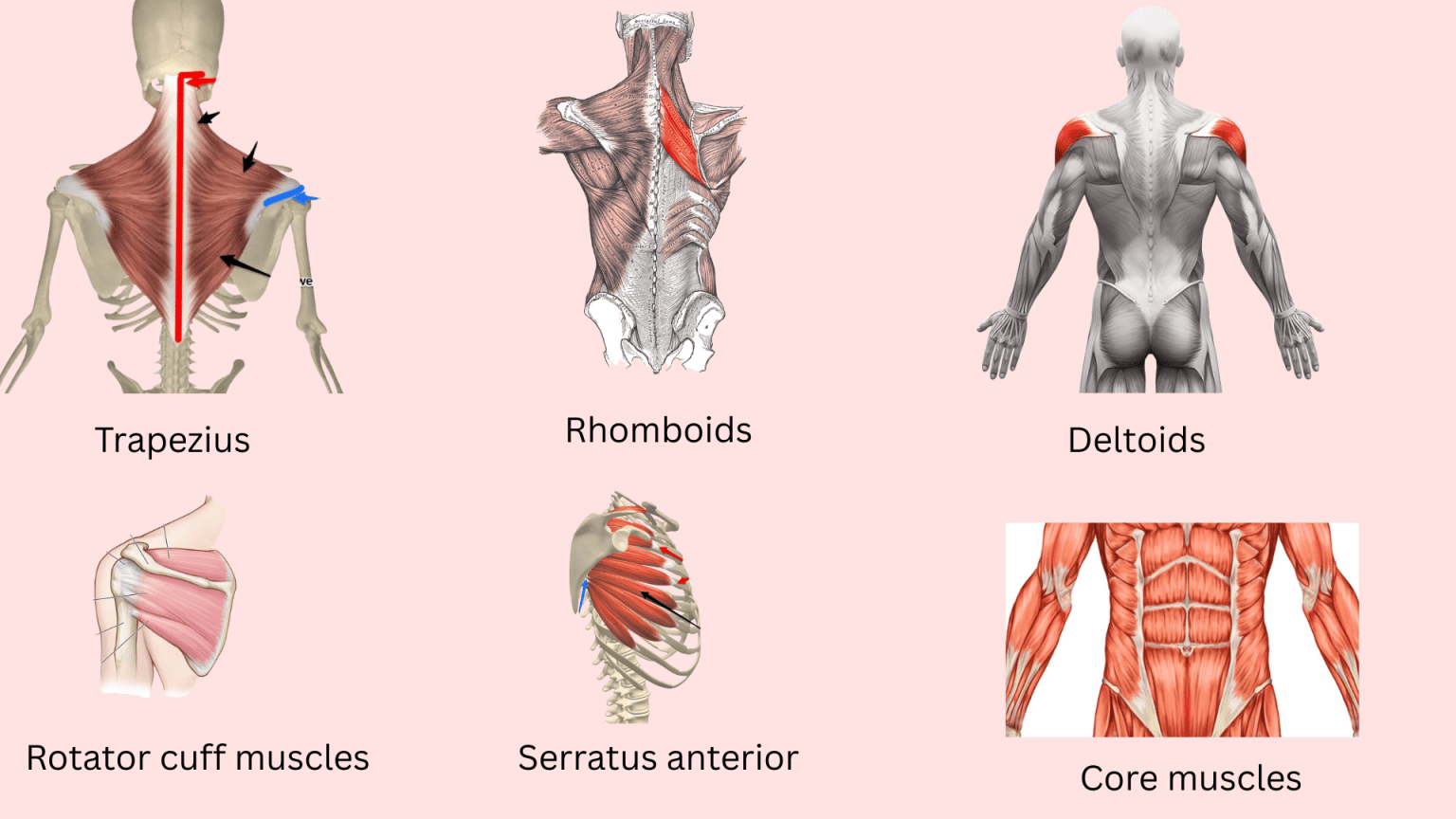 Wall Angels Exercise: Benefits & How to Do It - Lotus Yoga Dallas