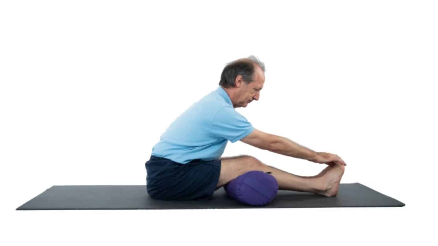Why Does Stretching Feel So Good? The Real Science - Lotus Yoga Dallas