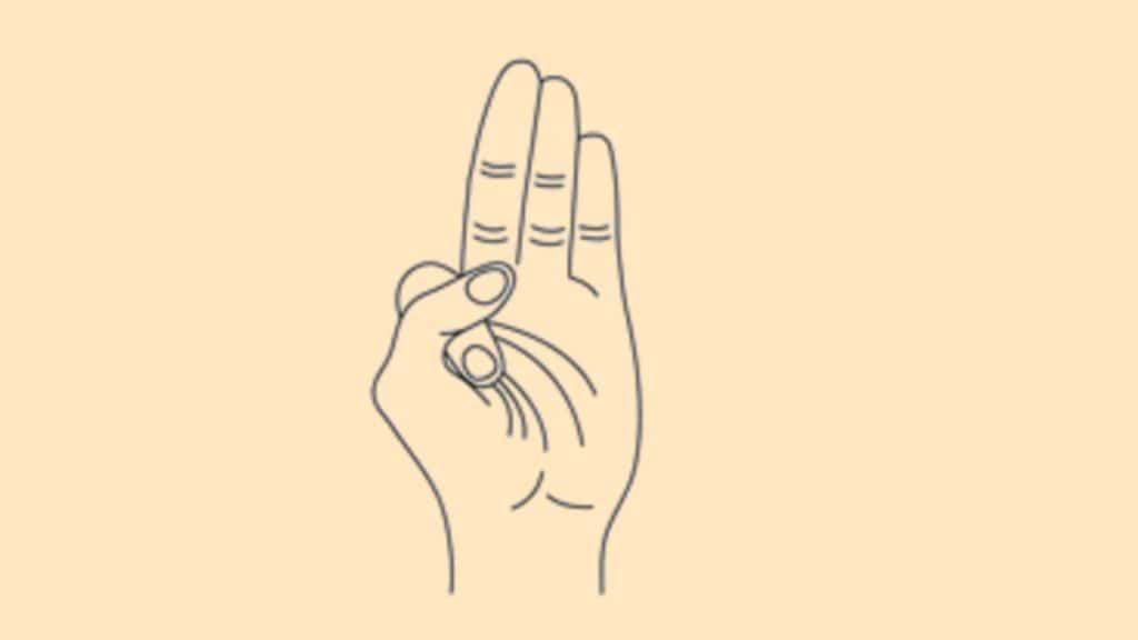 Mudra Hand Signs and Their Meanings & Benefits - Lotus Yoga Dallas